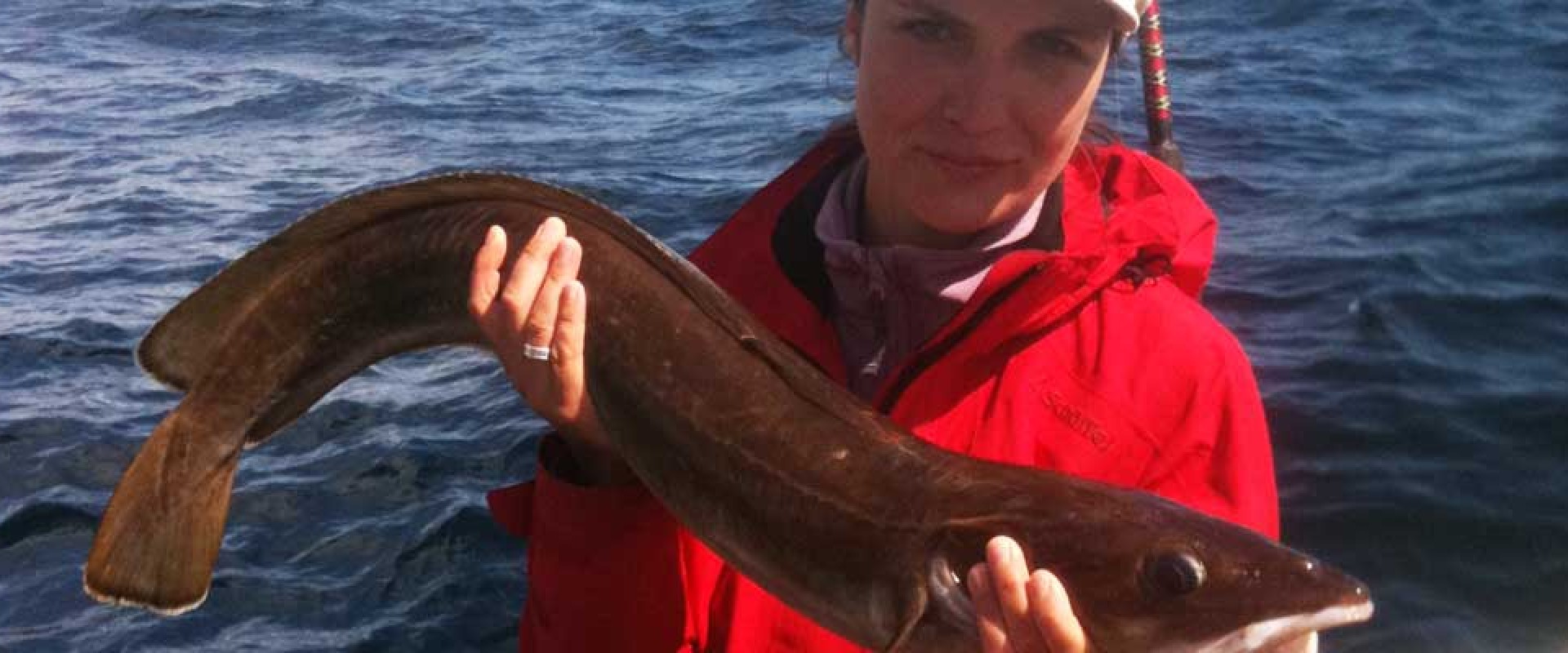 Home | Seafishing Ireland